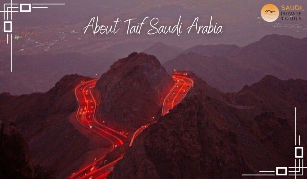 About Taif Saudi Arabia - Saudi Private Tours | Saudi Luxury & Group ...