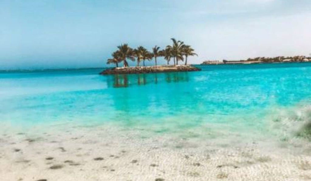 Best Scuba Diving in Saudi Arabia – A Diver’s Dream - Saudi Private ...