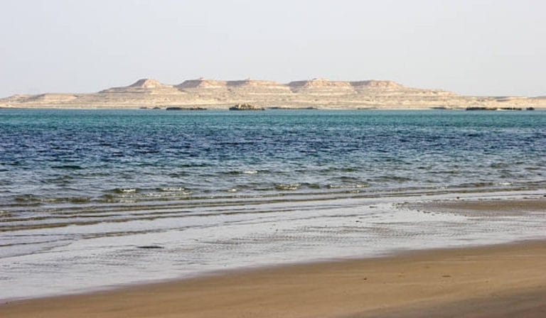 Best Scuba Diving in Saudi Arabia – A Diver’s Dream - Saudi Private ...